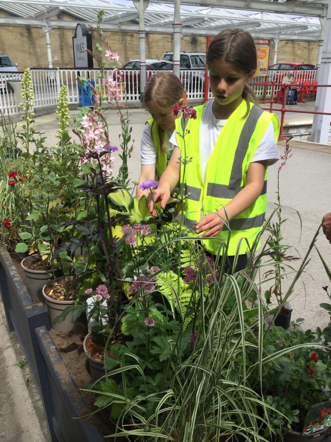 Official Garden Opening & Planter Competition - Ashlands Primary School